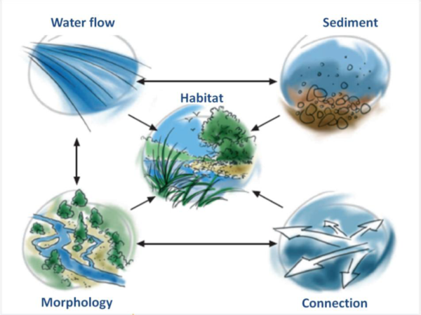 2. THE SHAPE OF A RIVER – Water detective
